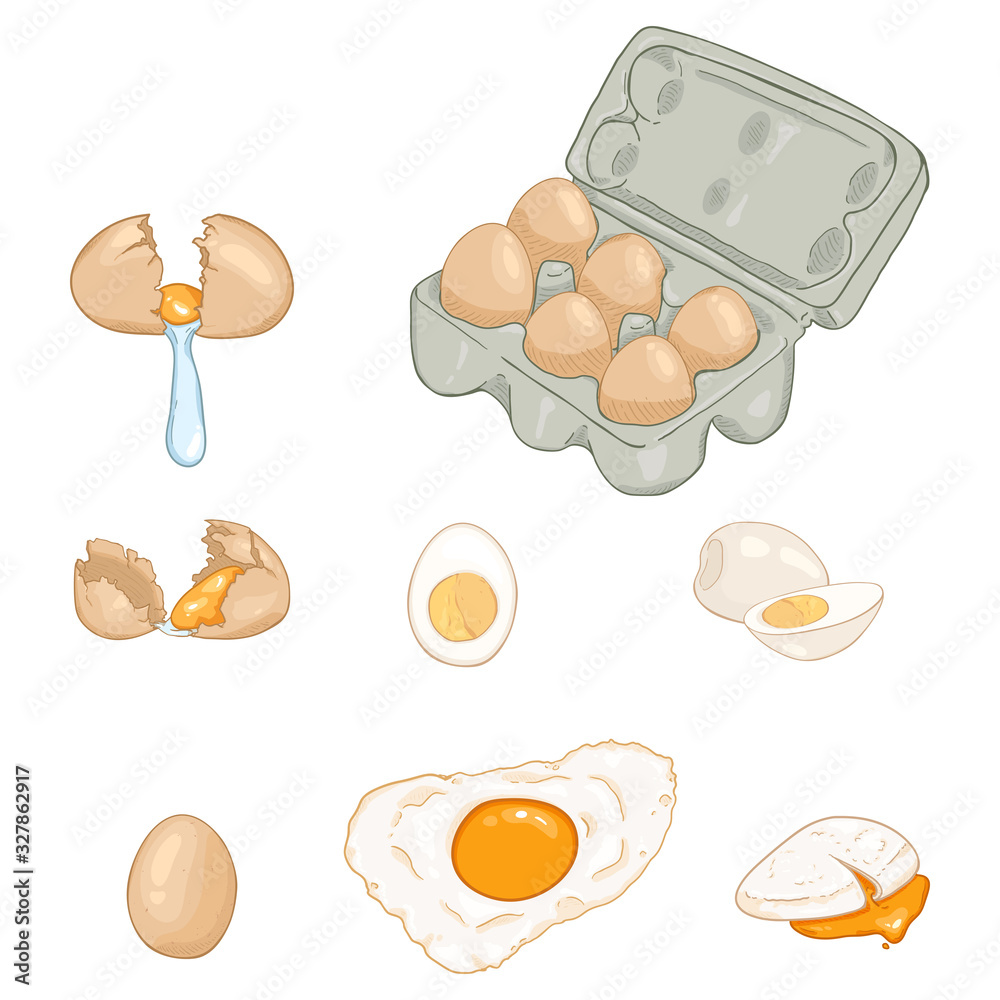 Vector Set of Cartoon Eggs. Stock Vector | Adobe Stock