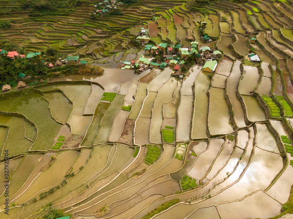 water filled Rice fields in Banaue/ Rice fields Panorama/Phillipines ...