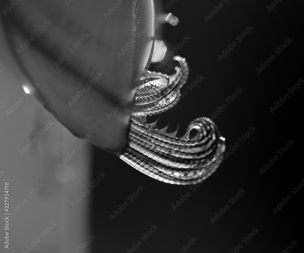 Macro photography of Lepas anatifera, commonly known as the pelagic ...