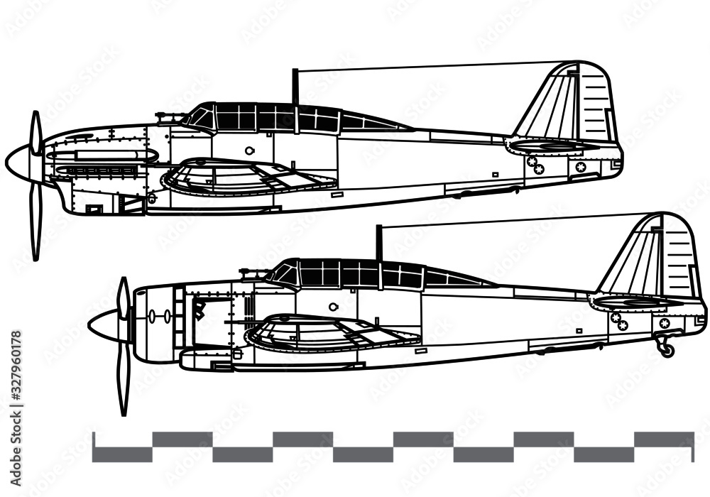 Vetor de Yokosuka D4Y Suisei Judy. World War 2 combat aircraft. Side ...