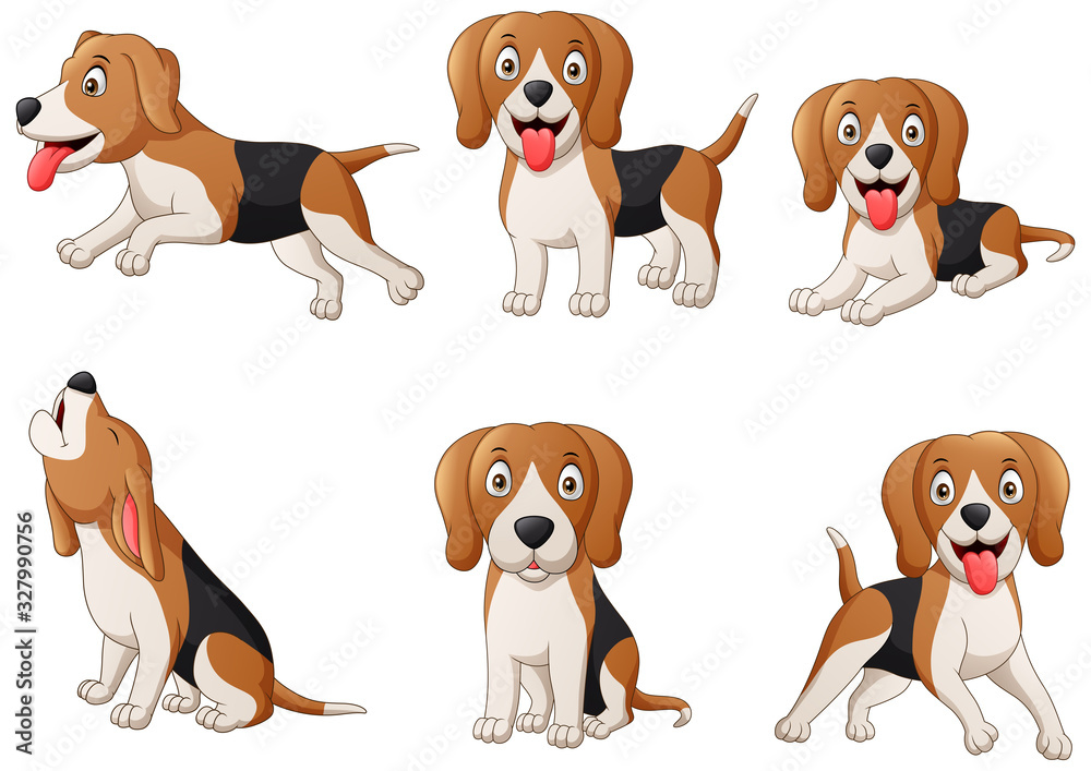 Set of beagle dog cartoon. Vector illustration Stock Vector | Adobe Stock