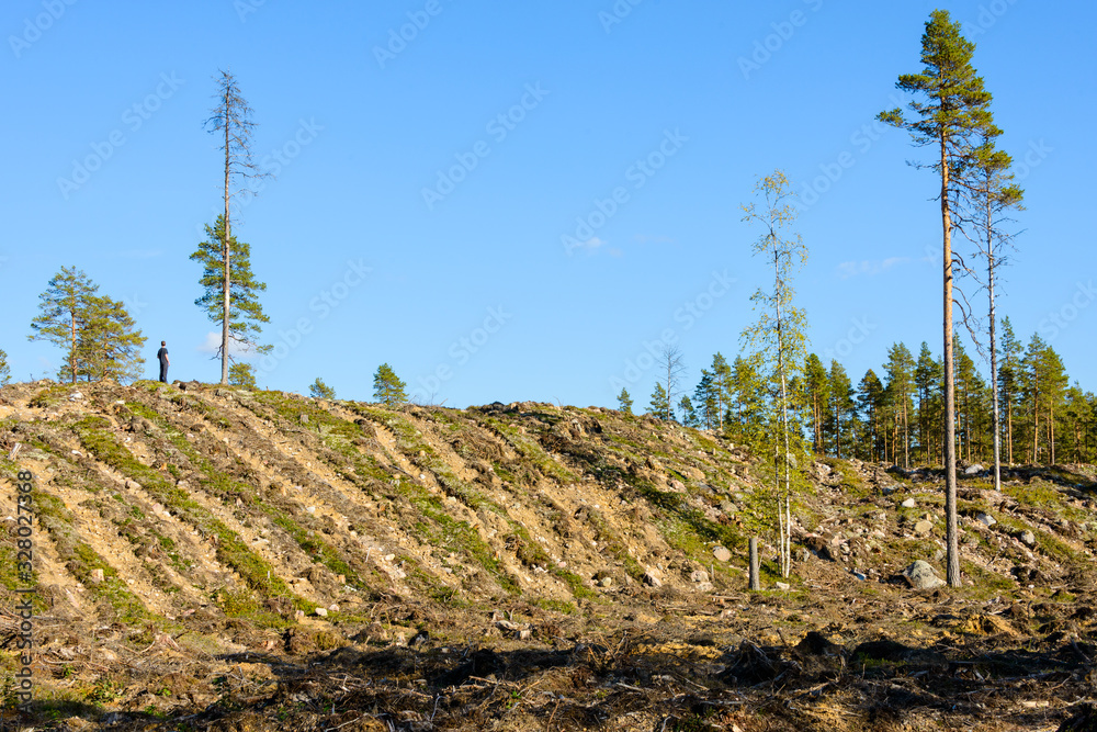 Poster Man looking on landscape showing effects of deforestation – Wall ...