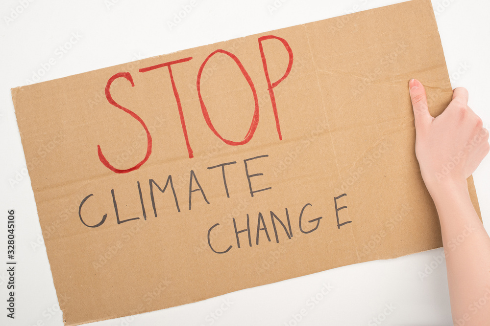 Cropped view of woman holding placard with stop climate change ...