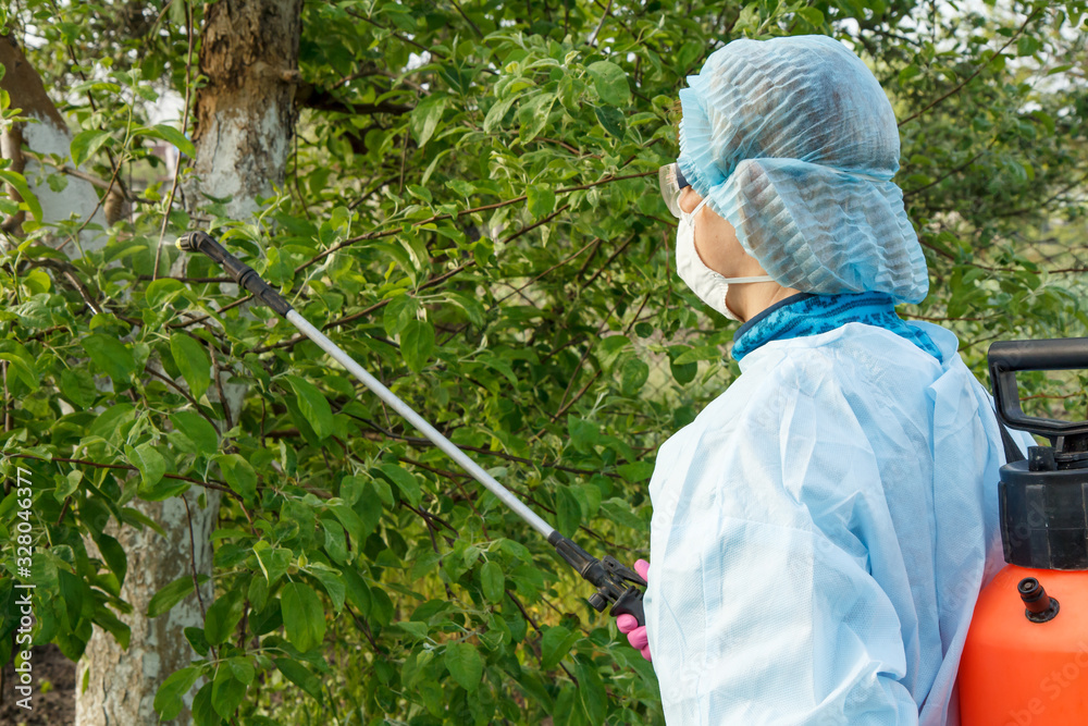 Protecting apple tree from fungal disease or vermin with pressure ...