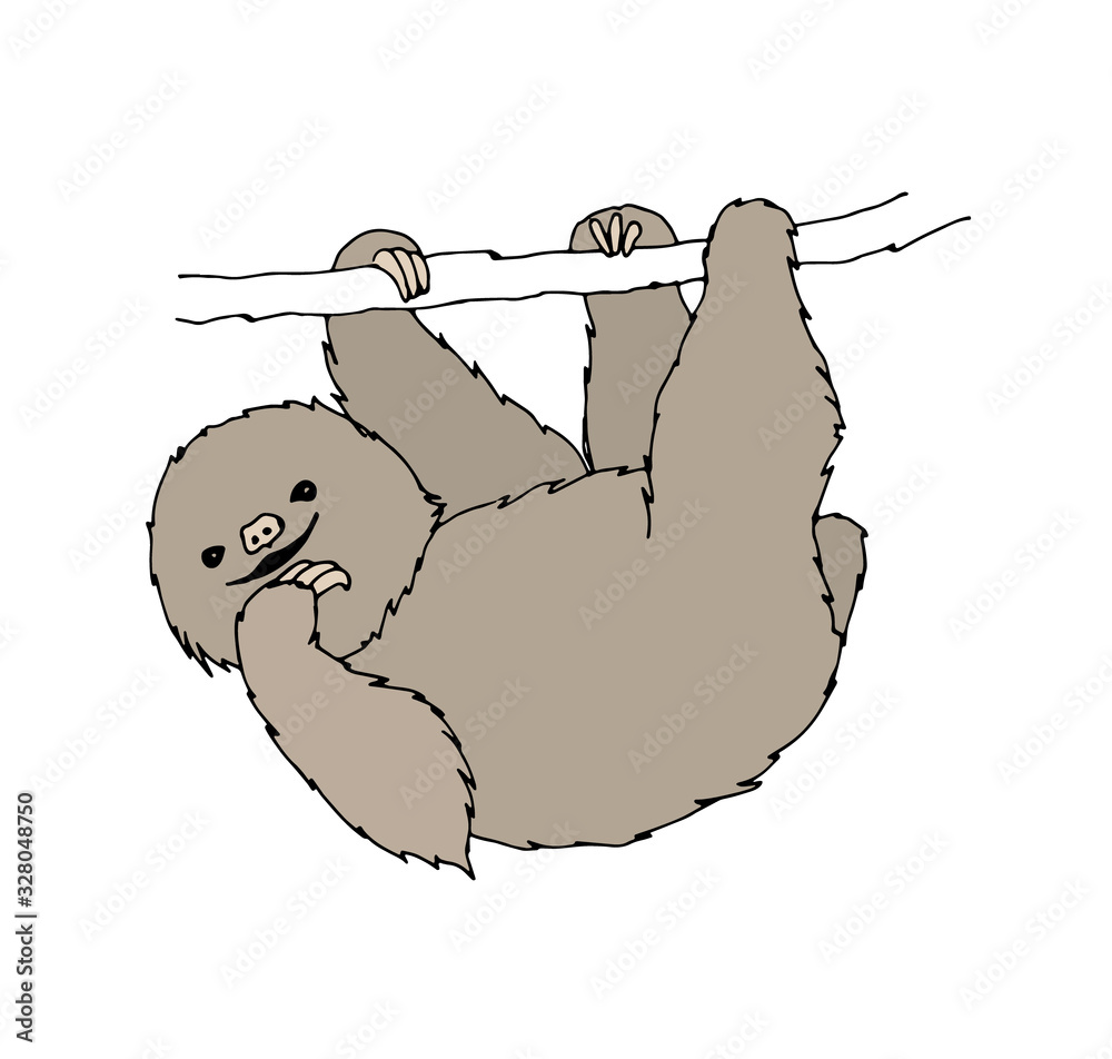 Drawing of a sloth on a tree. Vector illustration. Sketch on a white ...