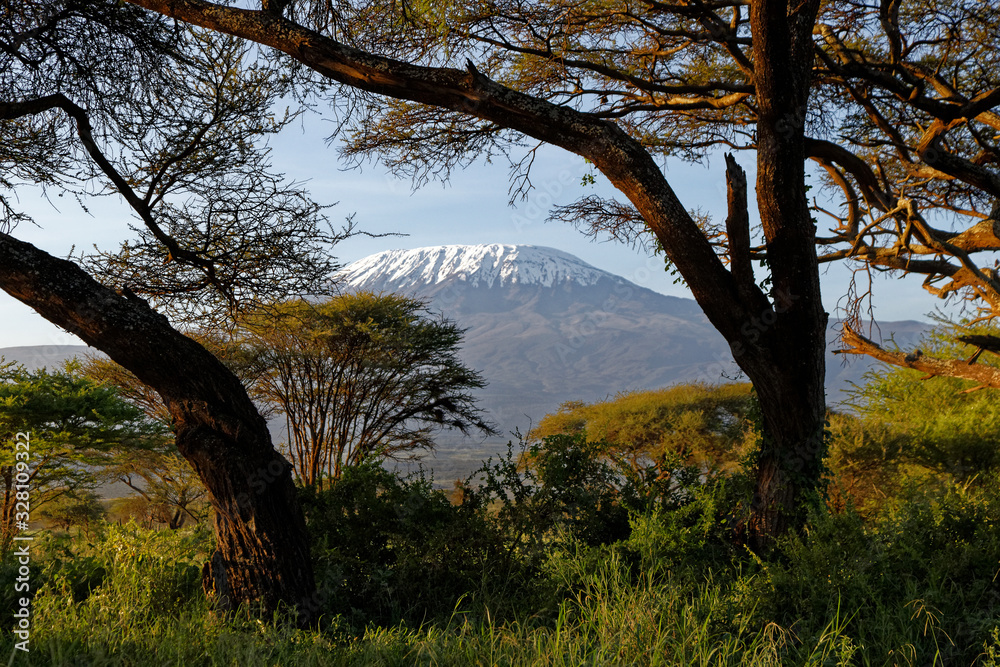 Kilimanjaro Stock Photo | Adobe Stock