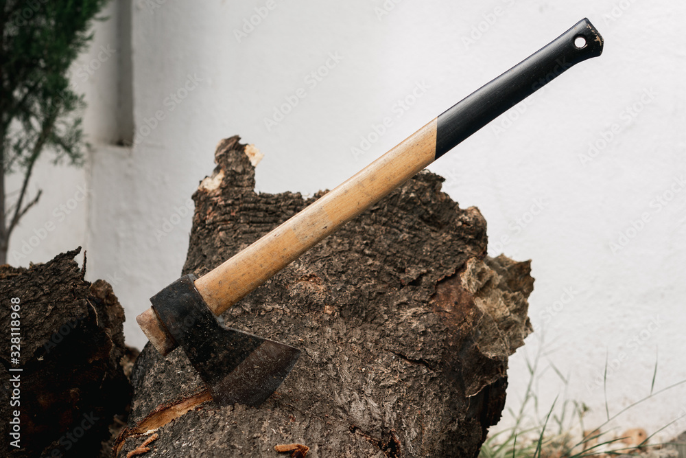 Firewood chopping ax. Ax for a tree, on a stump. Deforestation concept ...