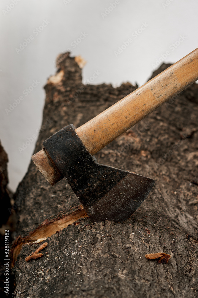Firewood chopping ax. Ax for a tree, on a stump. Deforestation concept ...