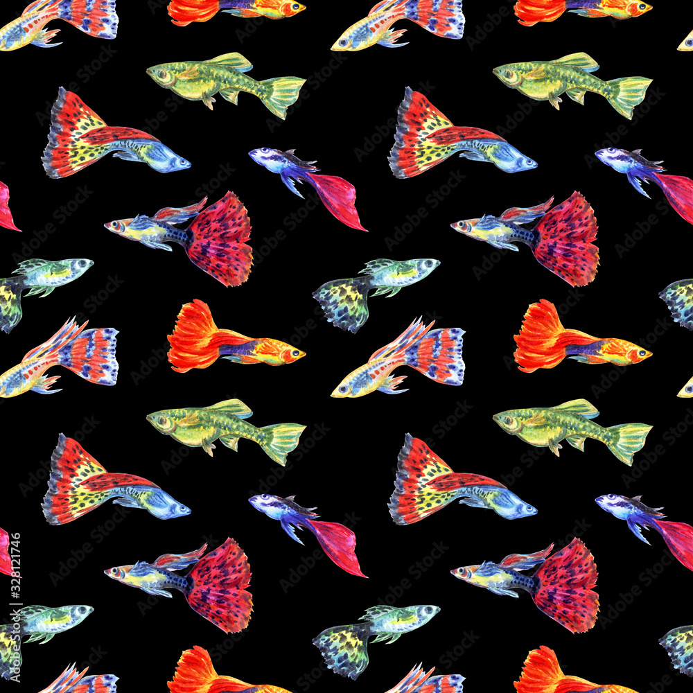 Guppy aquarium fish seamless pattern on black background, watercolor ...