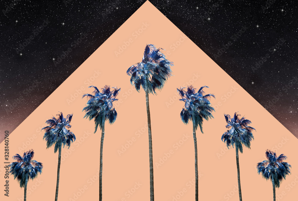 Palm Trees in Space Stock Photo | Adobe Stock