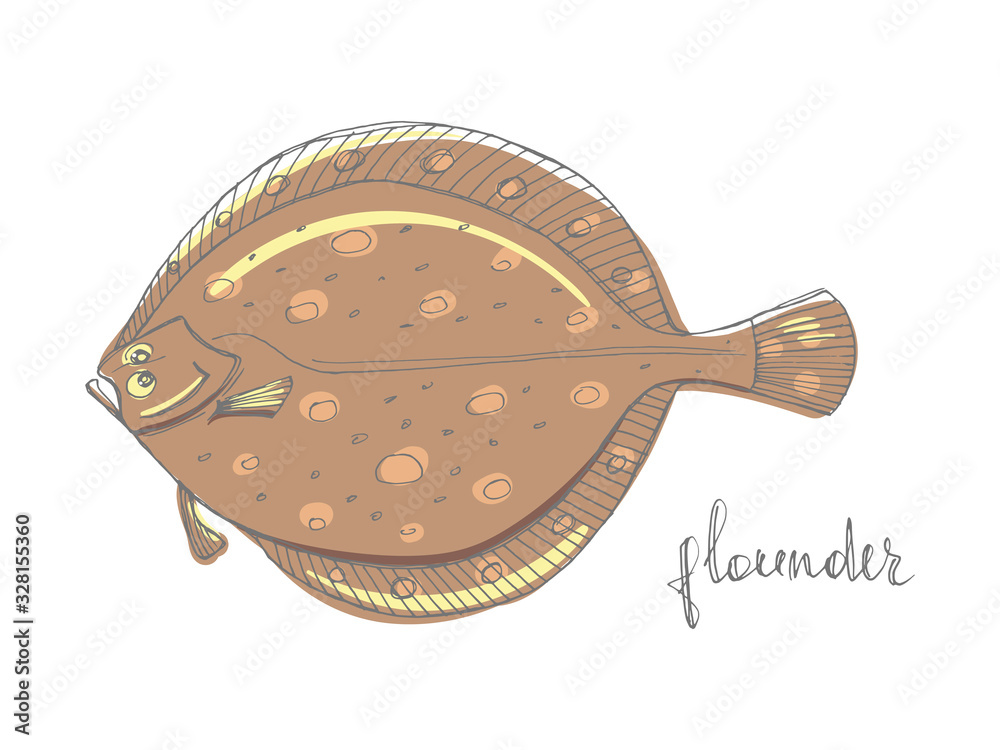 Flounder. Seafood design elements. Seafood / fish menu, poster, label ...