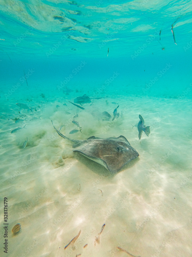 Raya en Cozumel Stock Photo | Adobe Stock