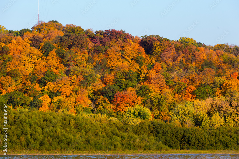 Deciduous fall color trees in splendor of orange, yellow and brown ...