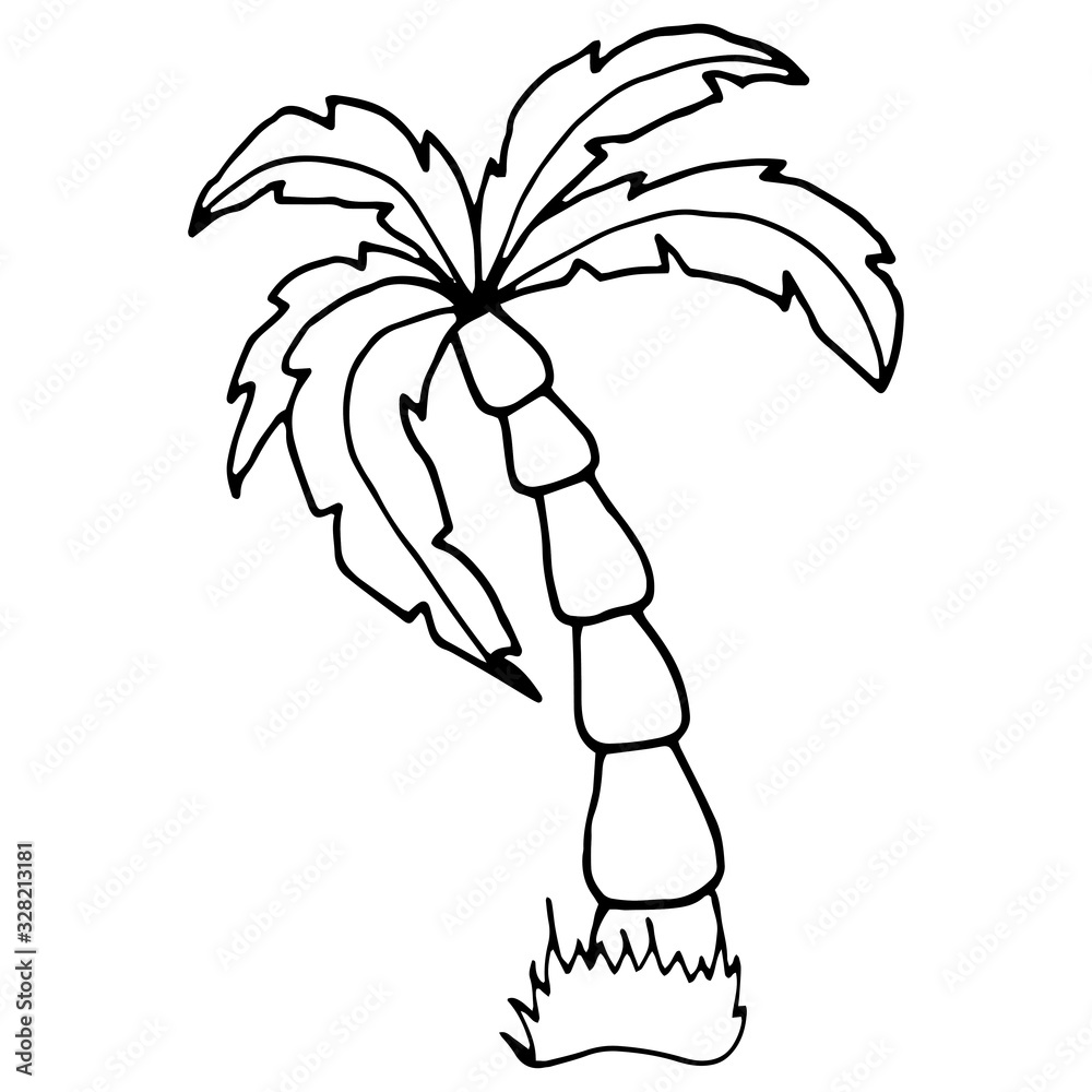 Hand drawn vector illustration of coconut palm tree. Vector sketch ...