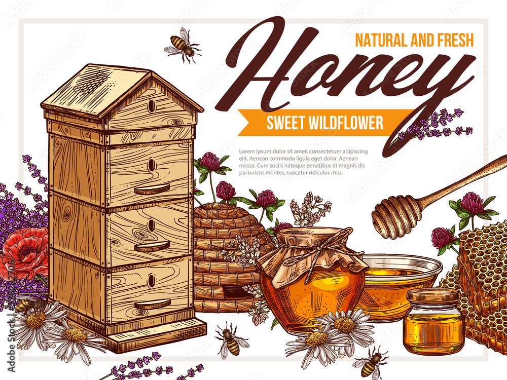 Vector hand drawn honey colorful design of poster. Sketch illustration ...