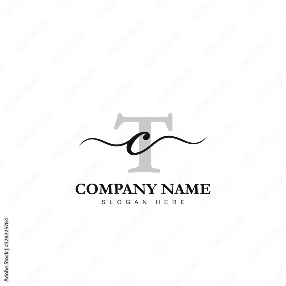 Initial CT logo luxury beauty template illustration Stock Vector ...