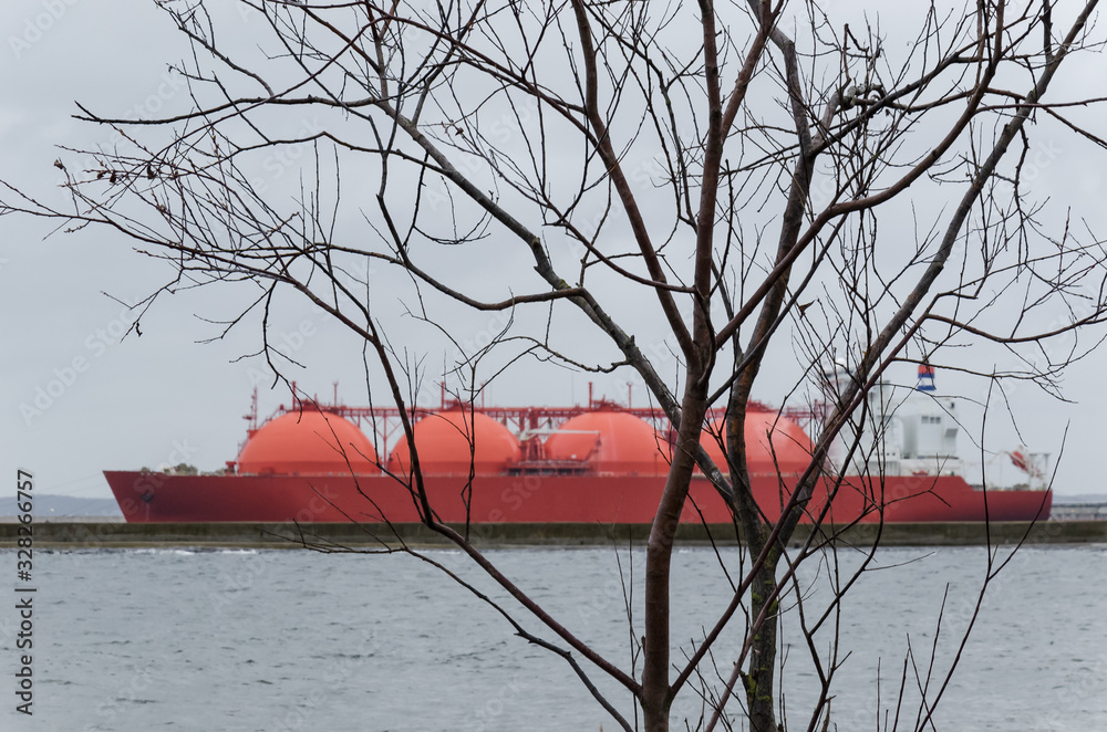 Foto de LNG TANKER - A giant ship behind a tree at the unloading ...