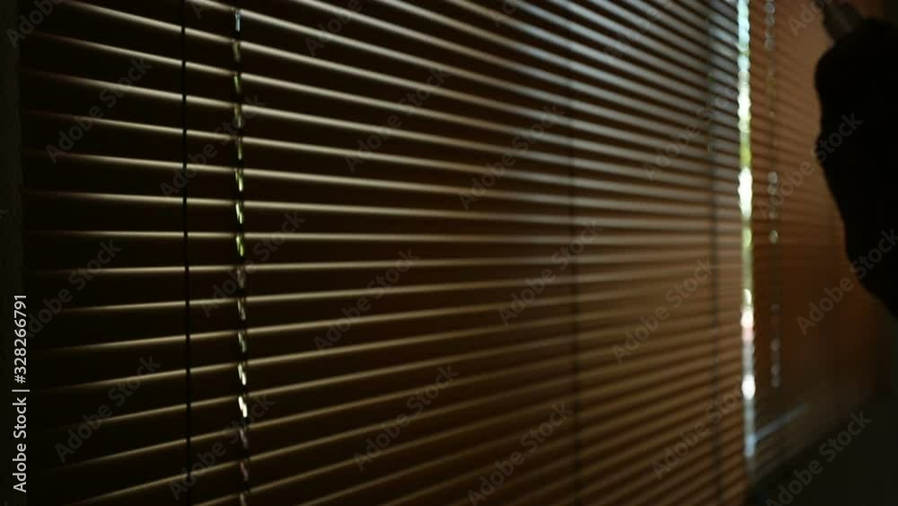 window blinds open and close interior in home Stock Video | Adobe Stock