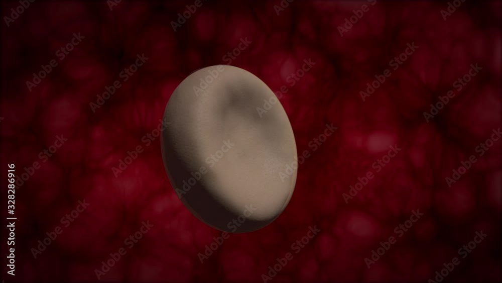 Human cell death process 3D realistic animation Healthy Human Cell ...