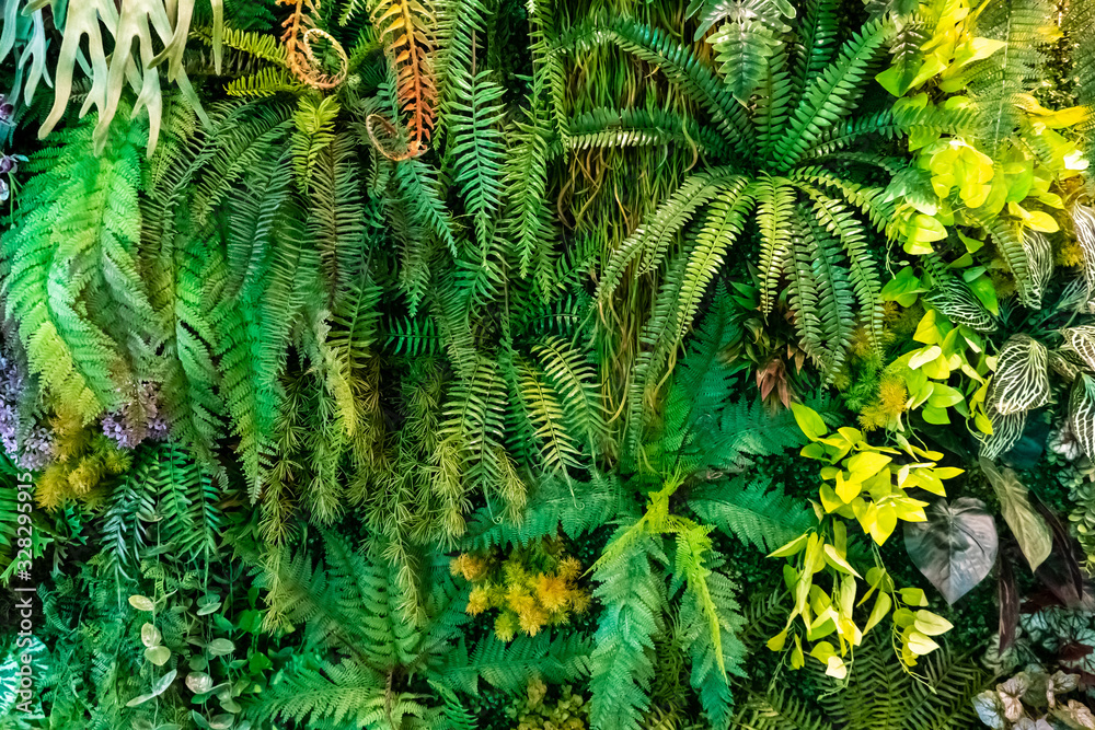 Beautiful vertical garden on the wall of the building for interior and ...