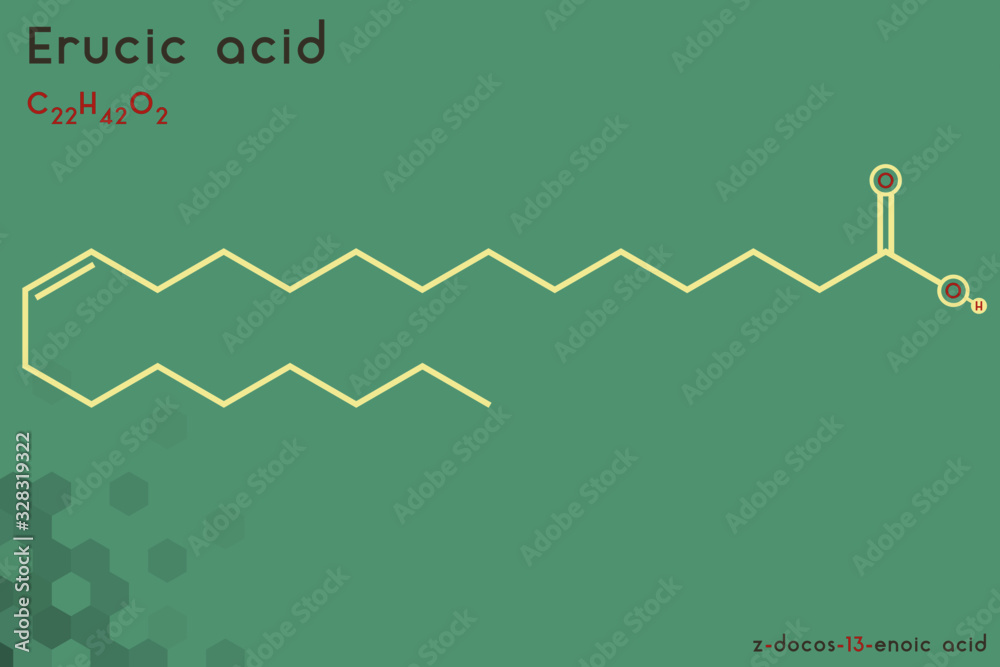 Large and detailed infographic of the molecule of Erucic acid Stock ...