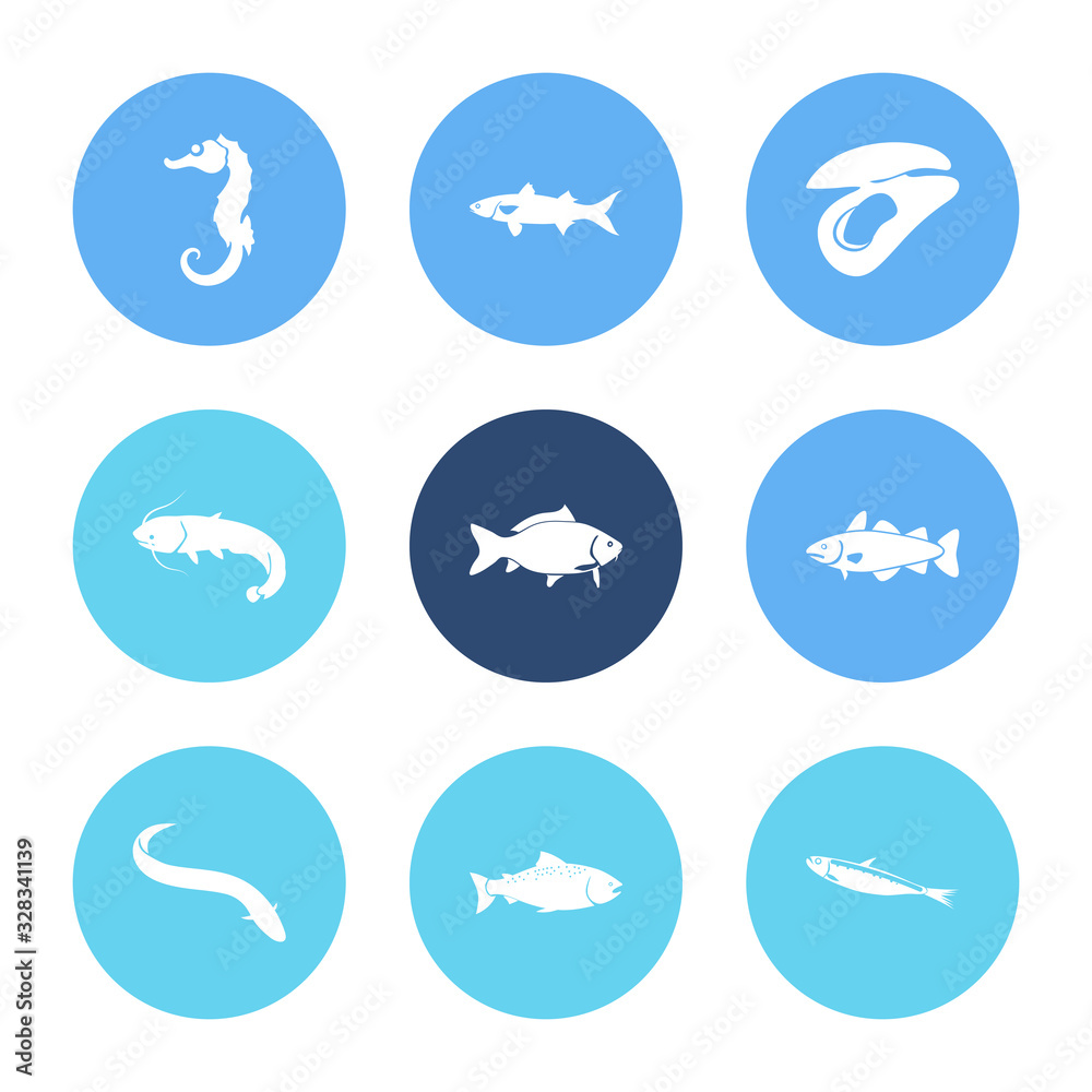 Aquatic icon set and sea horse with mullet, sardine and cod fish. Perch ...