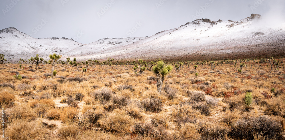 Winter in the mojave desert in california with snow on the hill tops ...