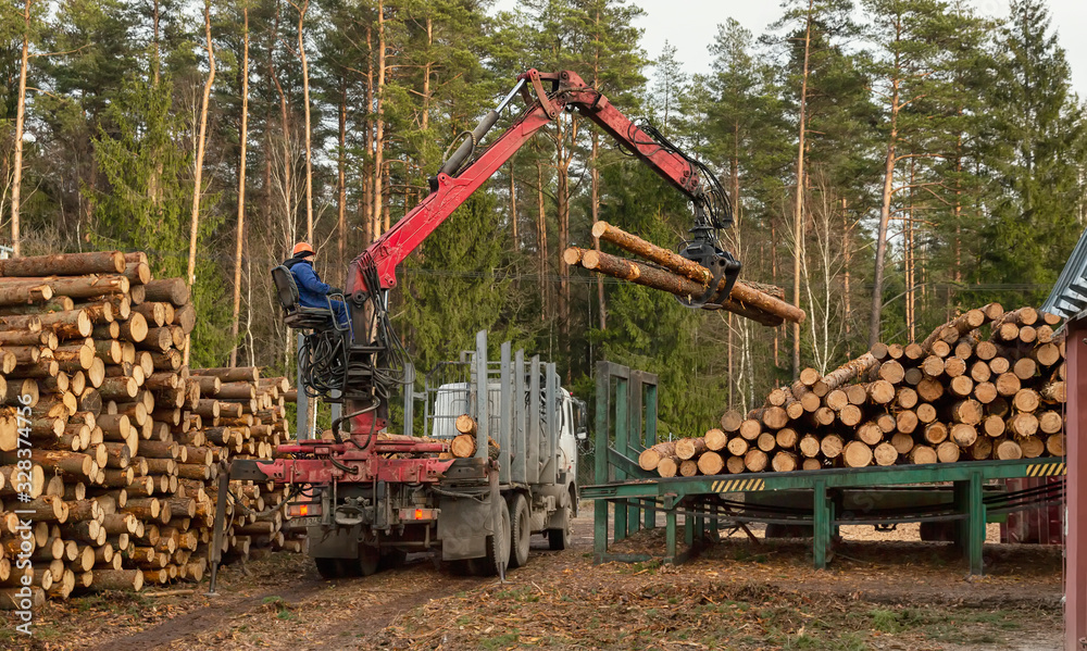 Loading, unloading wood. Logging and transportation. Transport logging ...