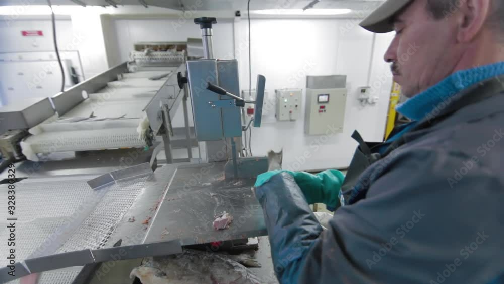 Icy fish is getting chopped by a factory worker at modern Fish factory ...