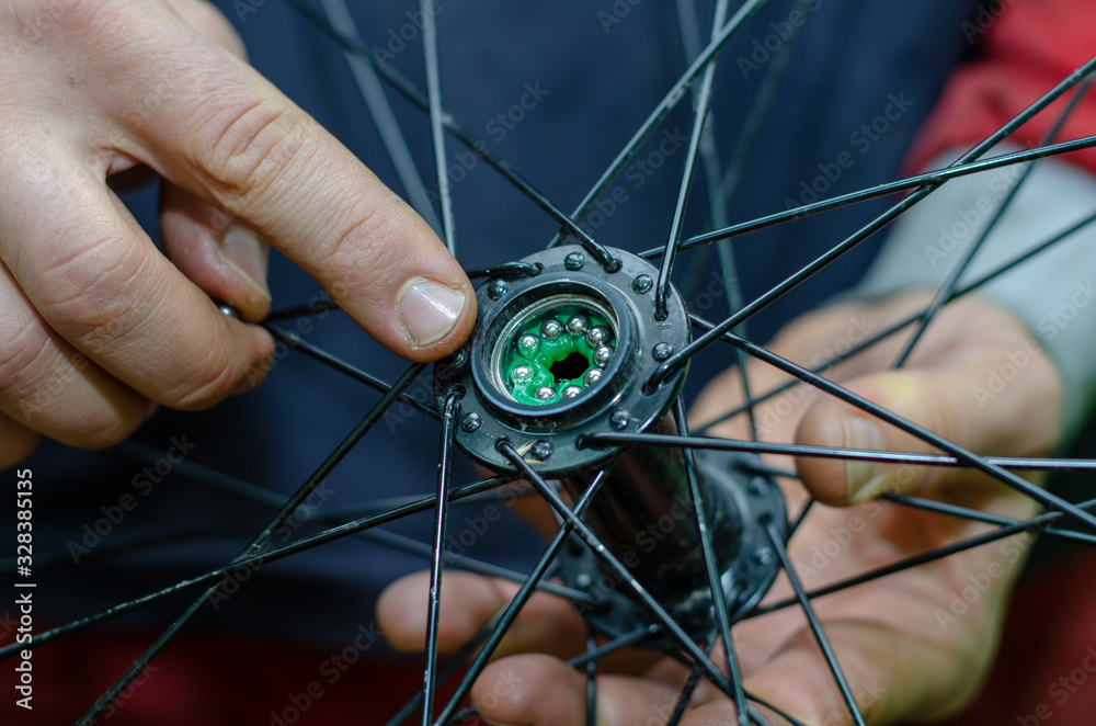 bicycle repair. Changing the lubrication and cleaning the bearings of ...