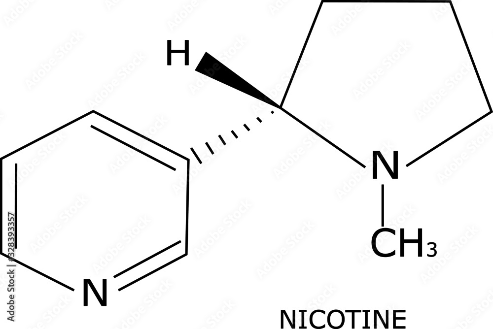 Nicotine molecular structure with its name on the left bottom corner ...