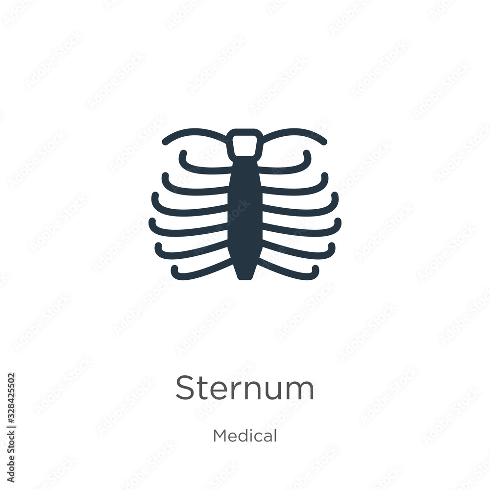 Sternum icon vector. Trendy flat sternum icon from medical collection ...