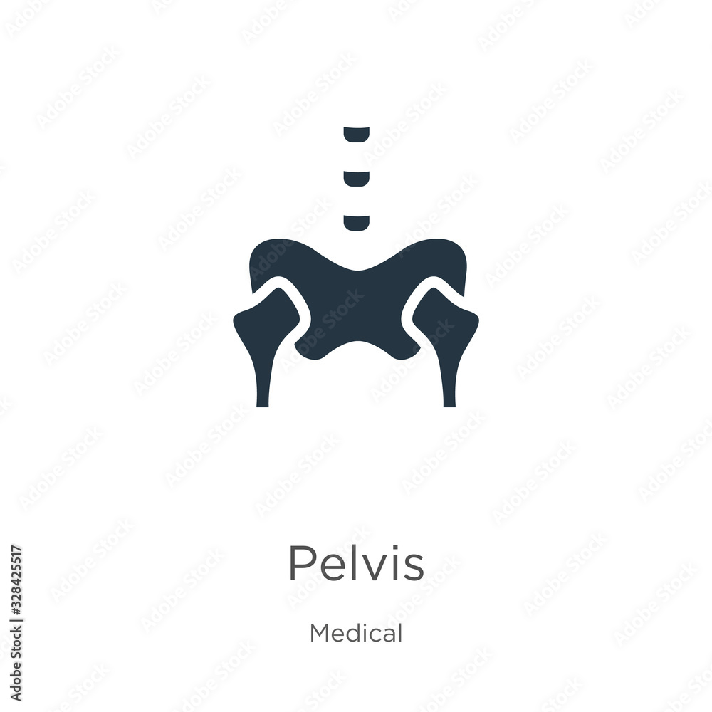Pelvis icon vector. Trendy flat pelvis icon from medical collection ...