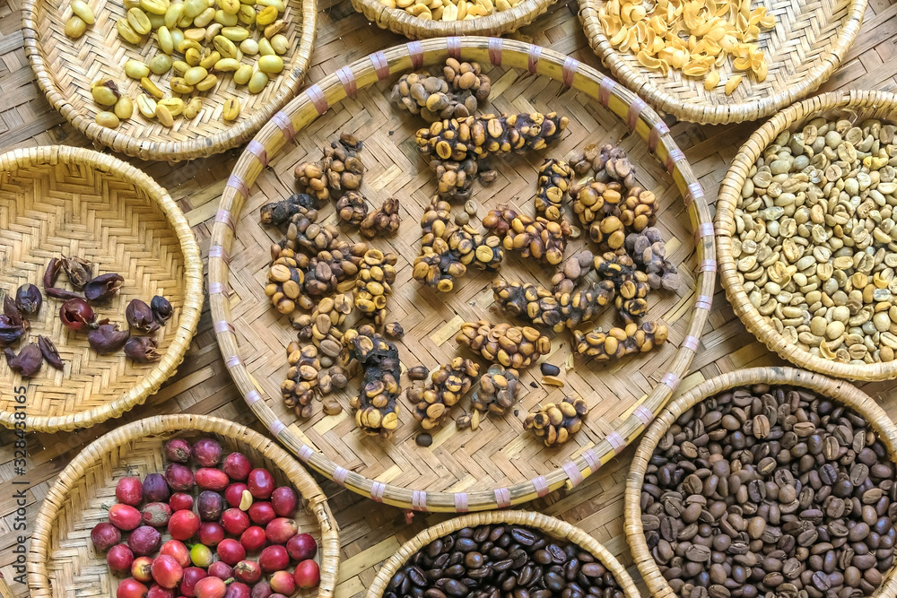 Luwak coffee, Kopi luwak is coffee that includes part-digested coffee ...
