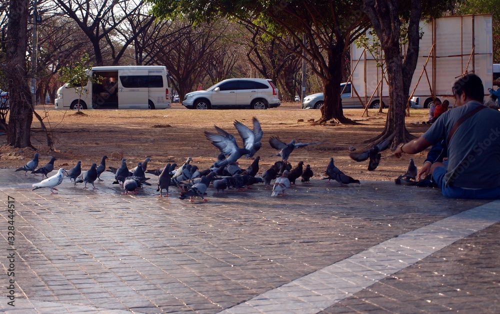 People sit on the road and feed pigeons in a city park on the ...