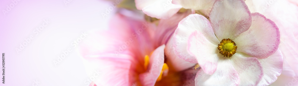 Nature of flower in garden using as cover page background natural flora ...