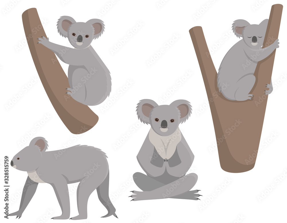 Set of koalas in different poses. Vector illustrations in cartoon style ...