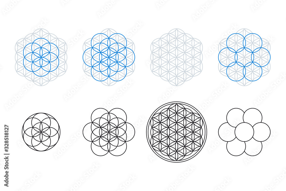 Flower of Life, Seed and Egg of Life, development. Geometrical figures ...