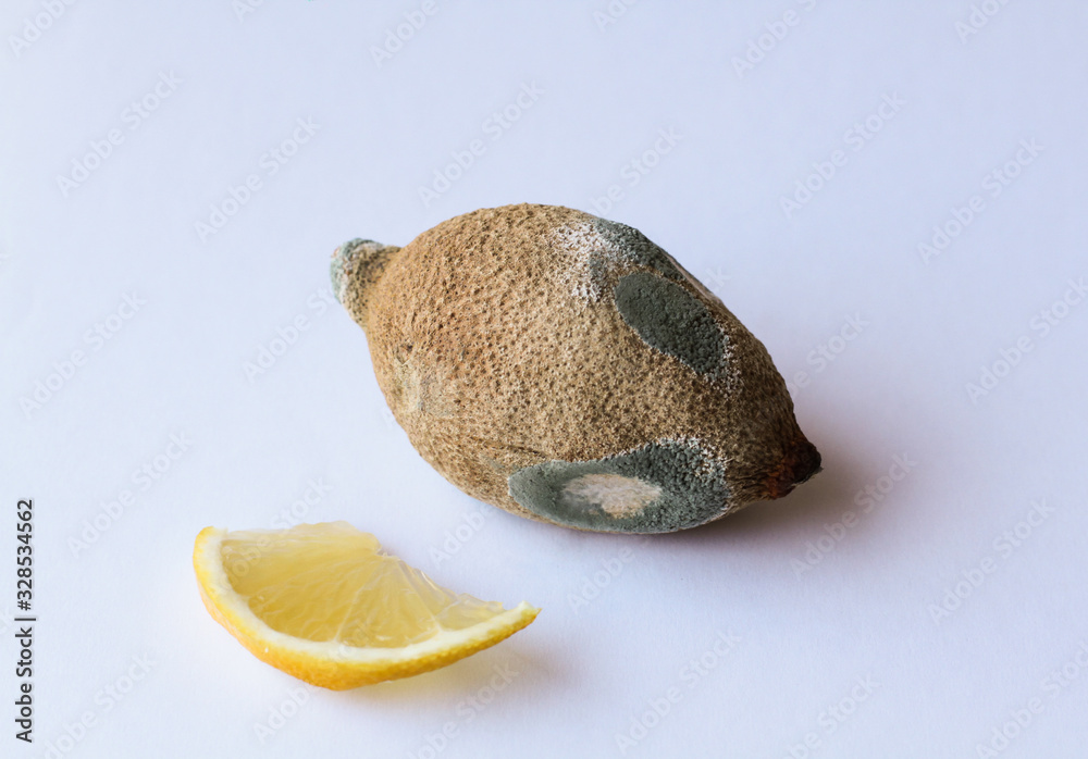 Mold On Lemon Peel