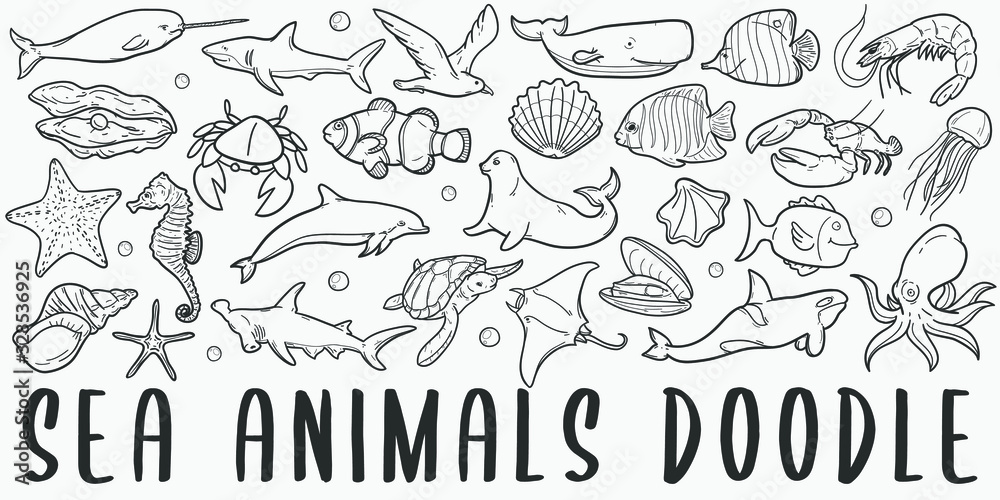 Sea Animals Doodle Line Art Illustration. Hand Drawn Vector Clip Art ...