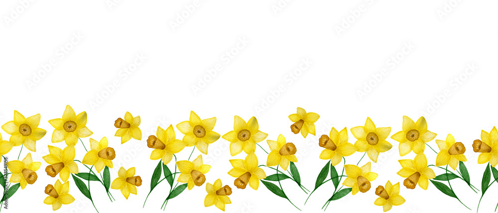 Spring Flowers Border Clipart
