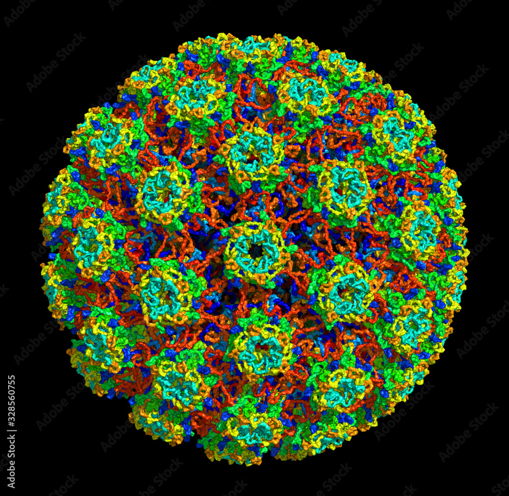 3D molecular structure of Human papillomavirus type 16, associated with ...