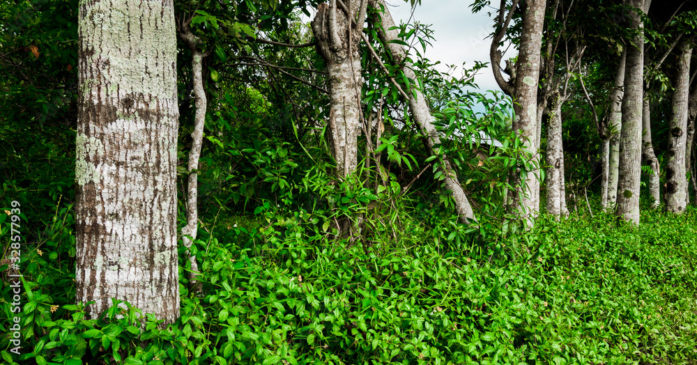 Dry soil texture for rough theme background wallpapers. Macro ...