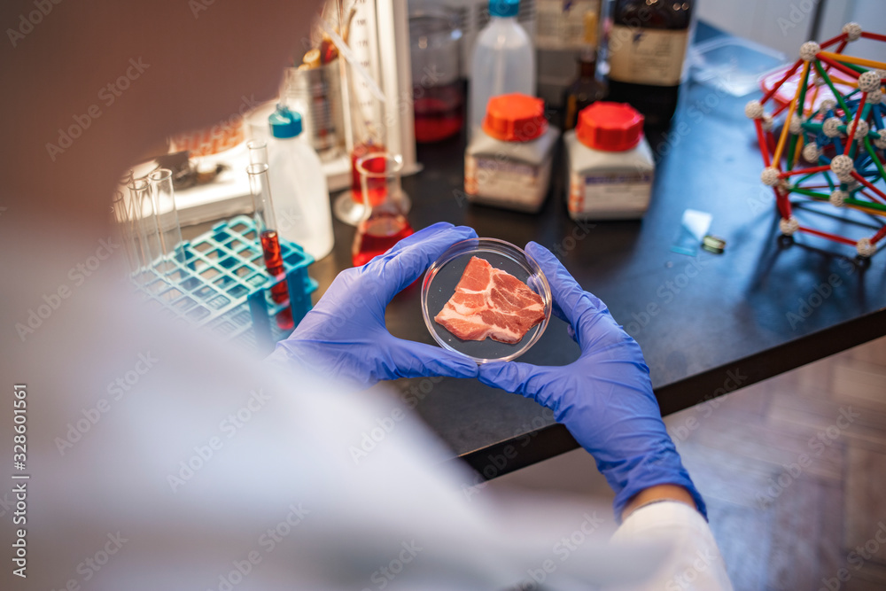 Scientist inspecting meat sample at laboratory. Meat grown up in ...