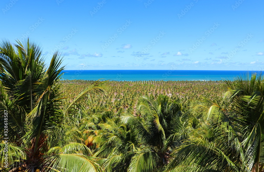 Praia do Gunga (Gunga's beach) is located 20 miles south of Maceio. The ...