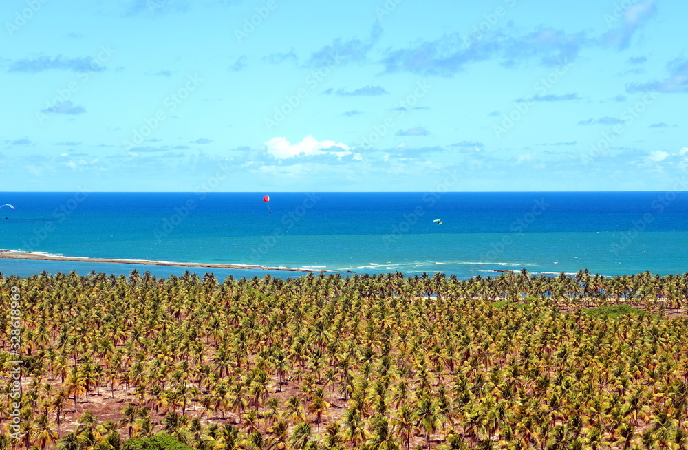 Praia do Gunga (Gunga's beach) is located 20 miles south of Maceio. The ...