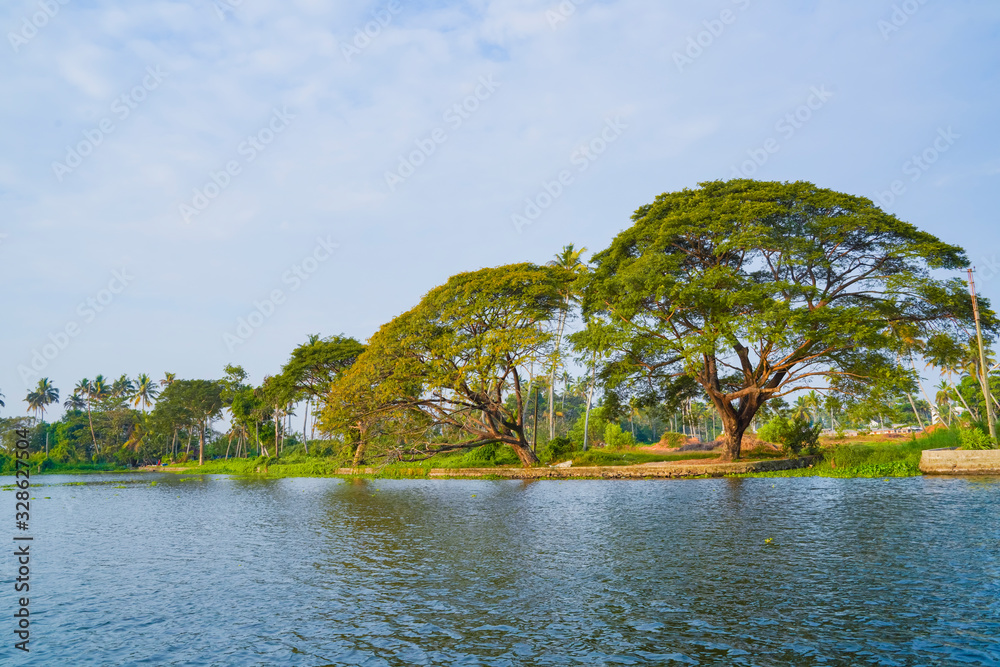 River side view with coconut tree and house in alleppey. Kerala Stock Photo | Adobe Stock