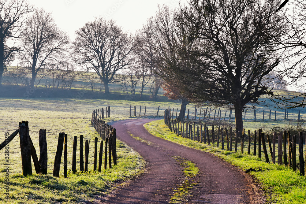 Chemin sinueux au milieu des arbres et bordé de piquets de parc dans la ...