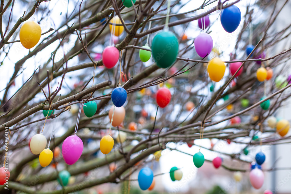 Bunte Ostereier hängen an einem Ast Ästen Strauch Baum Bäume Easter egg ...