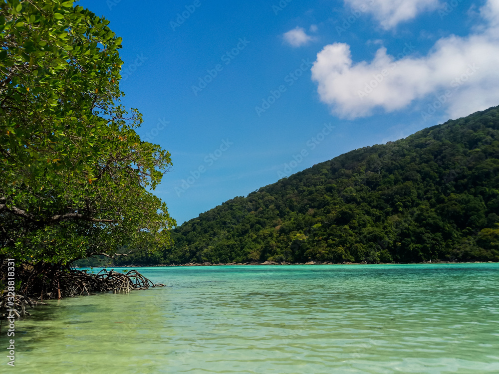 background, beach, beautiful, blue, forest, green, holiday, island ...